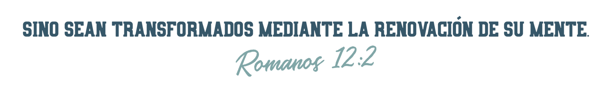 VBS 2024 - playa roca rompeolas - Lifeway VBS